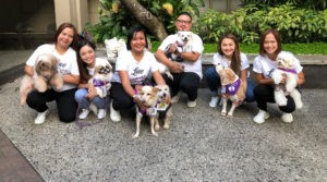 Programs - Philippine Animal Welfare Society