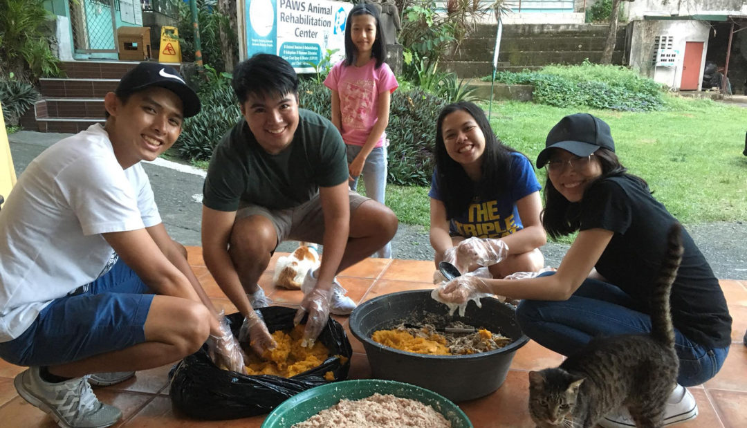Shelter Feeding Program - Philippine Animal Welfare Society