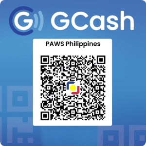 City Pound • The Philippine Animal Welfare Society