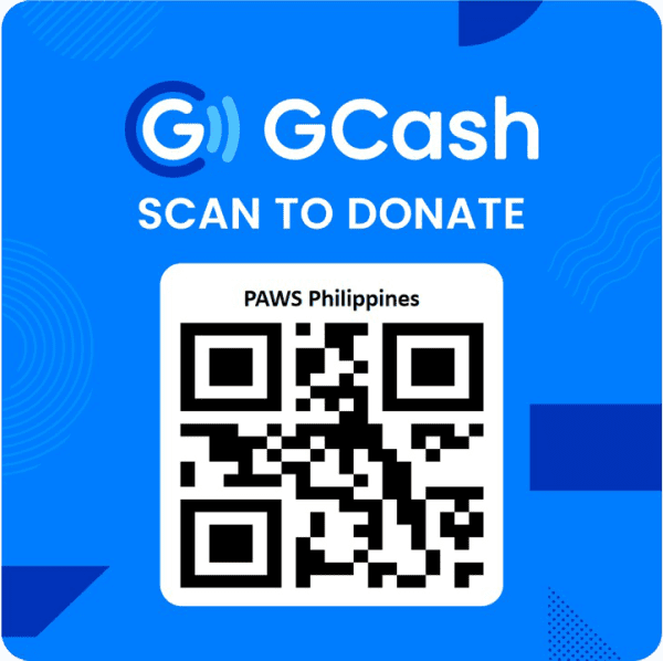 Euthanasia • The Philippine Animal Welfare Society